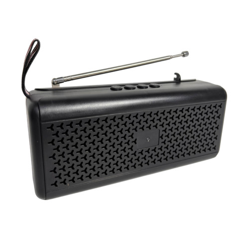 BOXE PORTABILE - VictorElectronice.ro