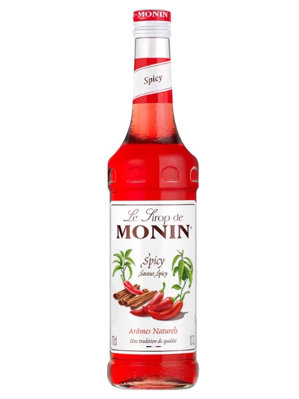 Monin Sirop Spicy 0.7L