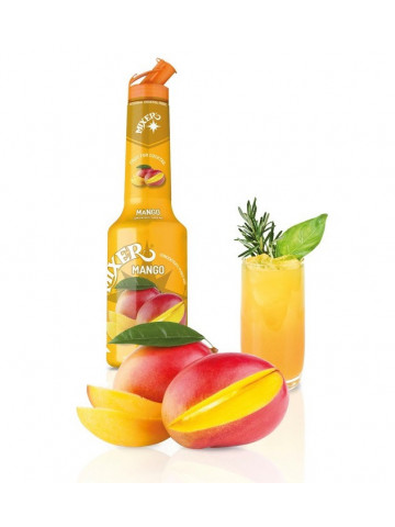 Detalii produs - Mixer Mango 100% Pulpa 1L