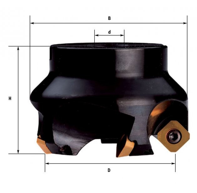 Cap de frezat cu placute schimbabile, F303/050, Fervi