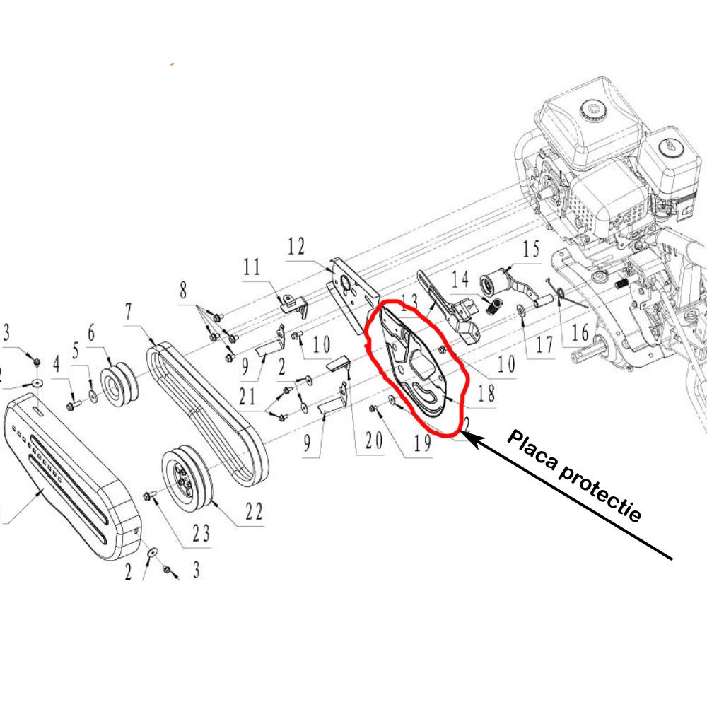 Placa protectie fulie transmisie motospa 6.5cp, 7cp Ruris, Dac