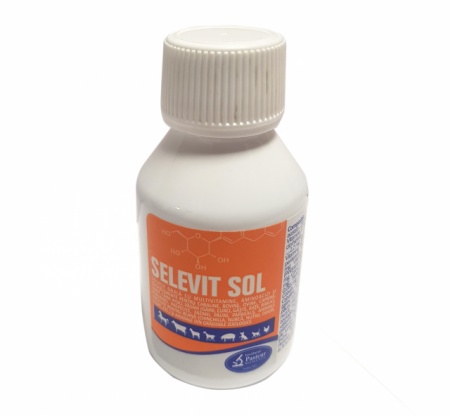 TRATAMENTE SI HRANA - Prisaca Dobrogea