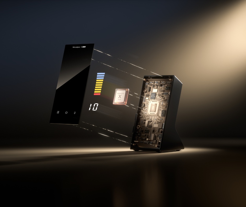 Apex locator Woodpex X MHN