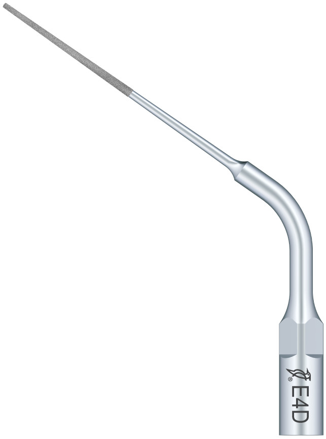 Ansa Endo E4D Diamantata EMS Woodpecker