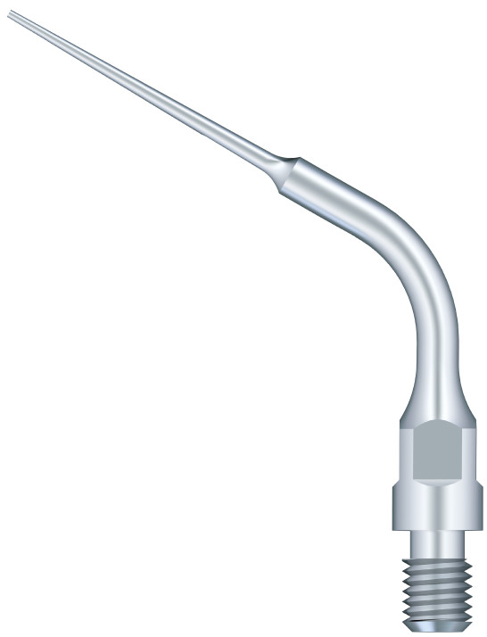 Ansa Endo ES15 SIRONA Woodpecker