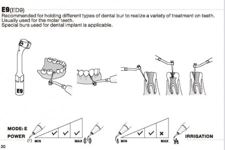 Ansa Endo E9 EMS Woodpecker