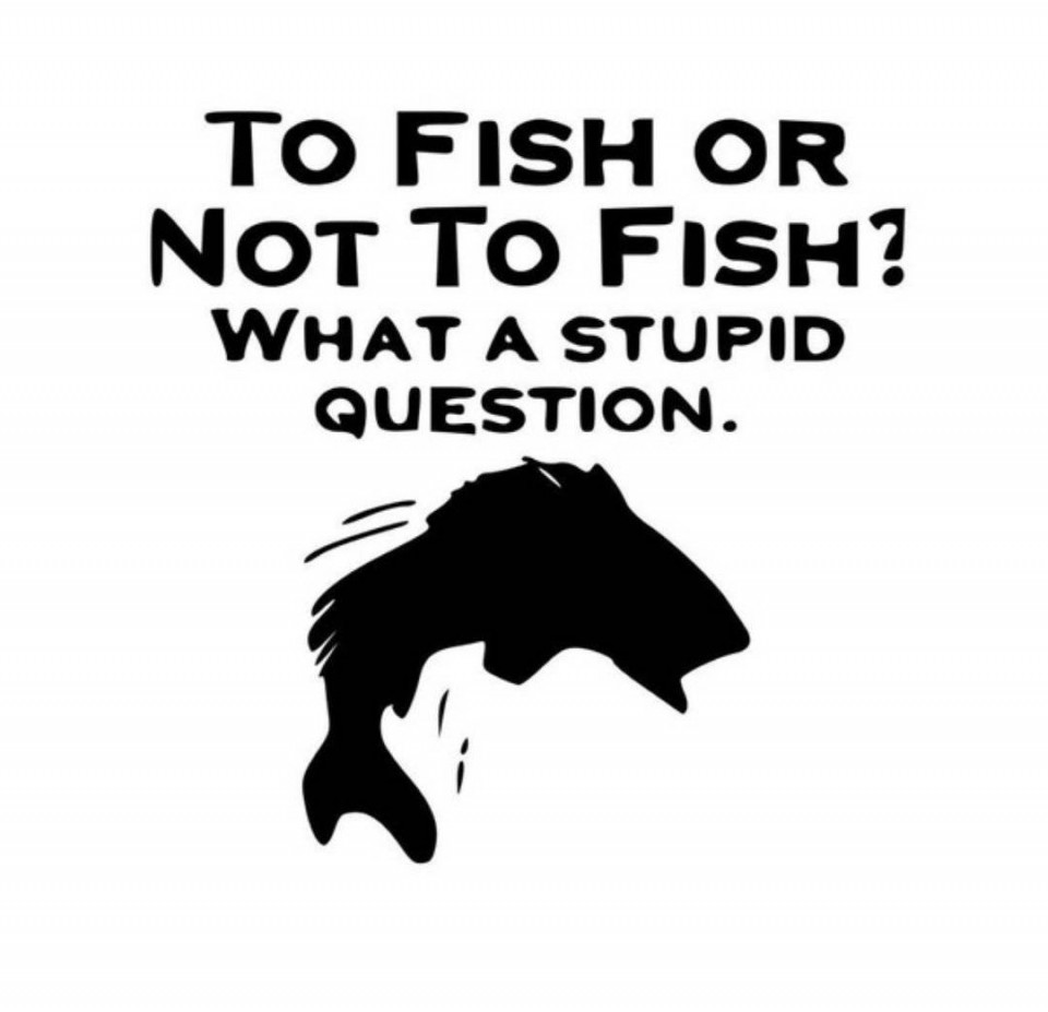 Sticker To Fish or not to Fish