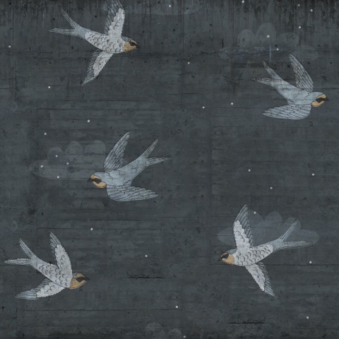 Fototapet, Concrete Art, Night Swallow, Rebel Walls