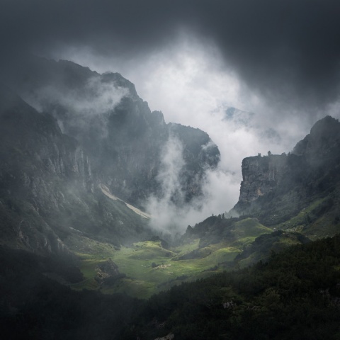 Fototapet, Foggy Valley, Rebel Walls