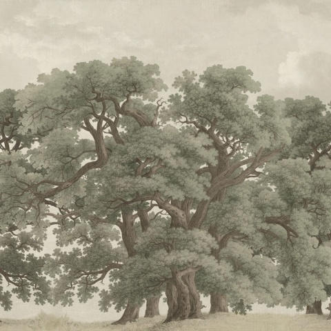 Fototapet, Vintage Oaks, Green, Rebel Walls
