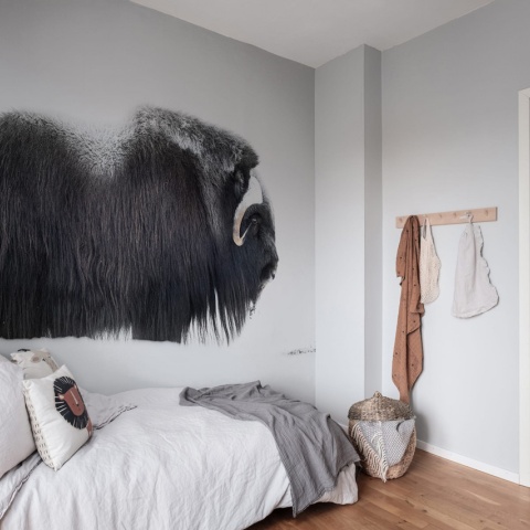Fototapet, Musk Ox, Rebel Walls