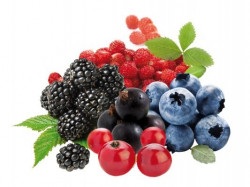 Fructe de Padure Congelate M CHEF / ROYAL 1Kg - 0811