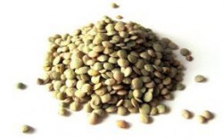 Linte Verde COLONIAL / PACO 500g - 07134000