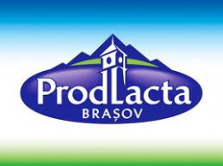Branza Proaspata de Vaci Slaba PRODLACTA 500g