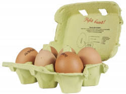 Oua de Gaina Bio Ecologice (63g-73g) (crescute ecologic) FINE LIFE ...