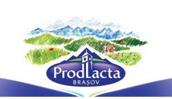 Branza Proaspata de Vaci Grasa PRODLACTA 500g