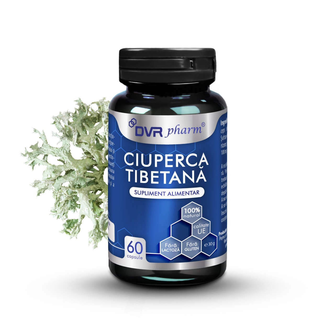 Ciuperca Tibetana, 60 capsule, Dvr Pharm