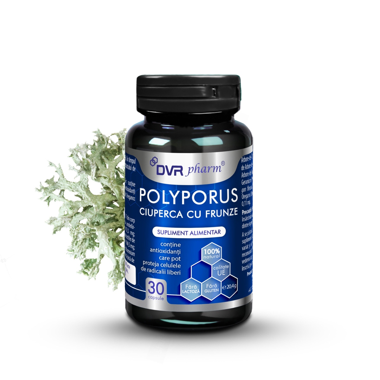 Polyporus Ciuperca cu Frunze, 30 Capsule, DVR Pharm