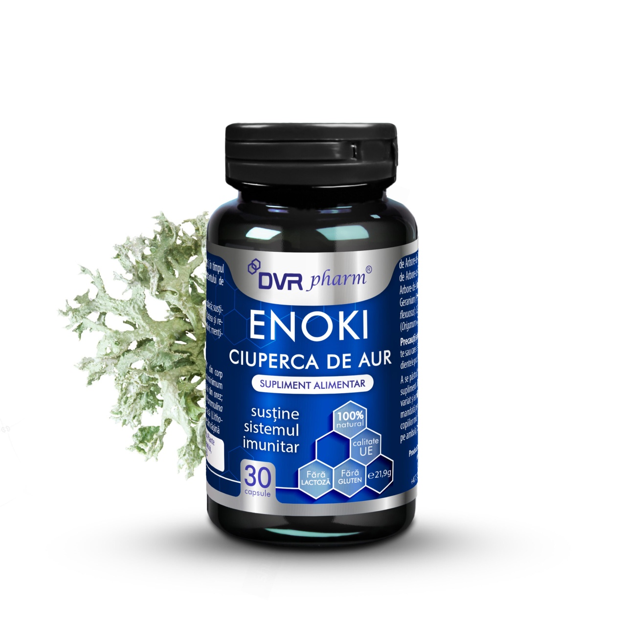 Enoki Ciuperca de Aur, 30 capsule, Dvr Pharm