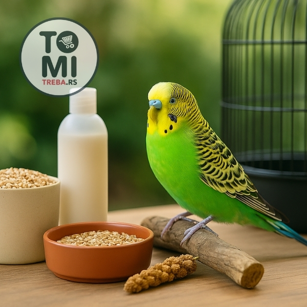 Ptice - ToMiTreba.rs