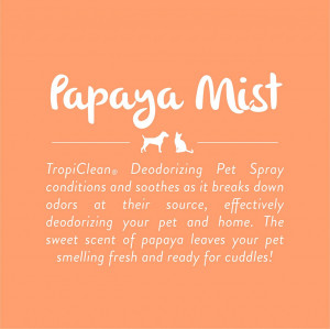 DEZODORANS SPREJ TROPICLEAN PAPAYA MIST