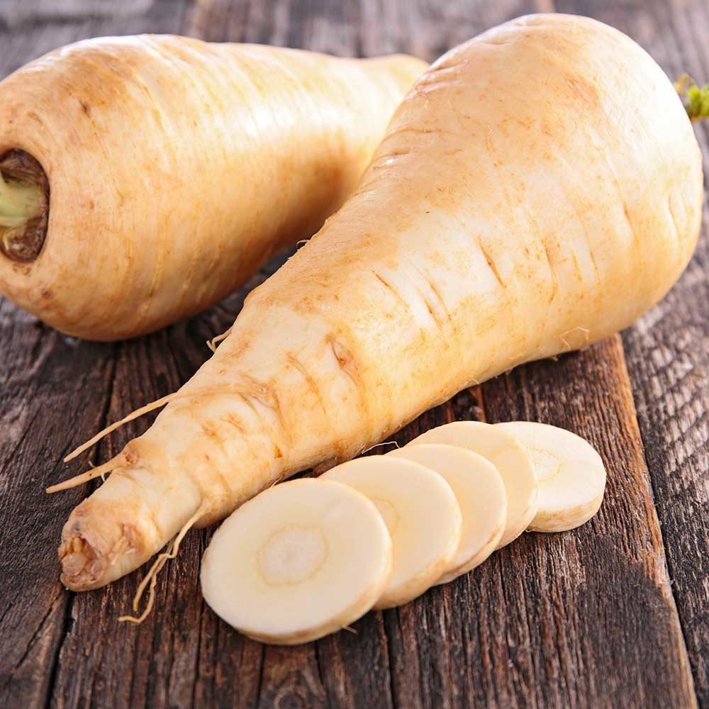 Pastarnac semilung (4 g), seminte soi productiv, radacini albe ...