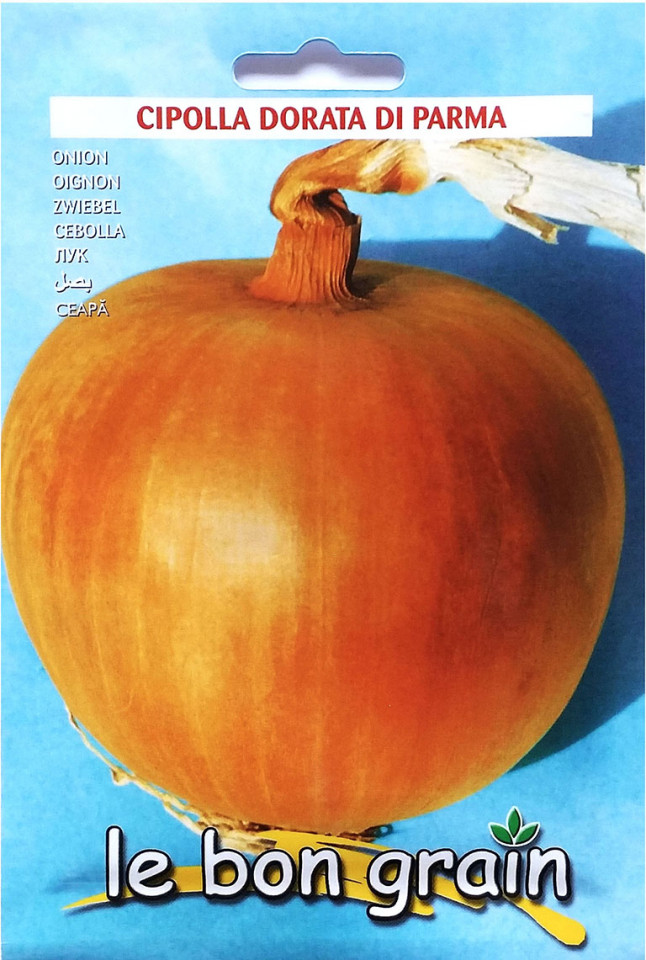 Ceapa Dorata di Parma (Bologna) (500 g), seminte soi tardiv ceapa mare ...