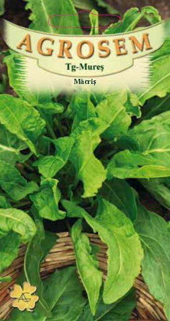 Macris (0,5 g), seminte planta anuala Rumex acetosa, frunze verzi, mari ...