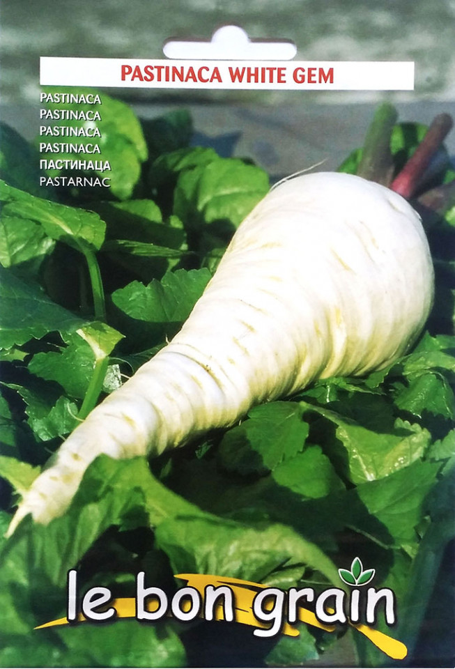 Pastarnac White Gem (100 g), seminte soi semitardiv, radacini gust ...
