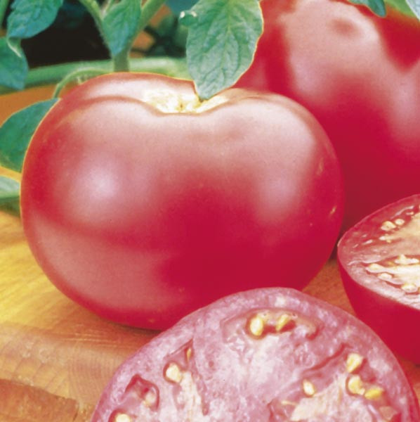 Rosii Rozalina Rossa F1 (50 sem.), seminte hibrid semitimpuriu, tomate ...