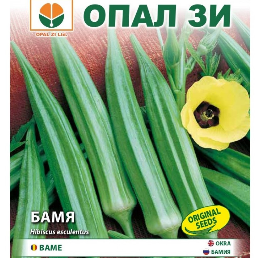 Bame verzi Clemson Spineless (5 g) seminte bame verzi soi timpuriu ...