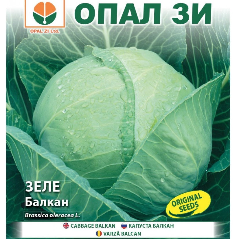 Varza Balkan (5 g), seminte soi bulgaresc tardiv, productivitate mare ...