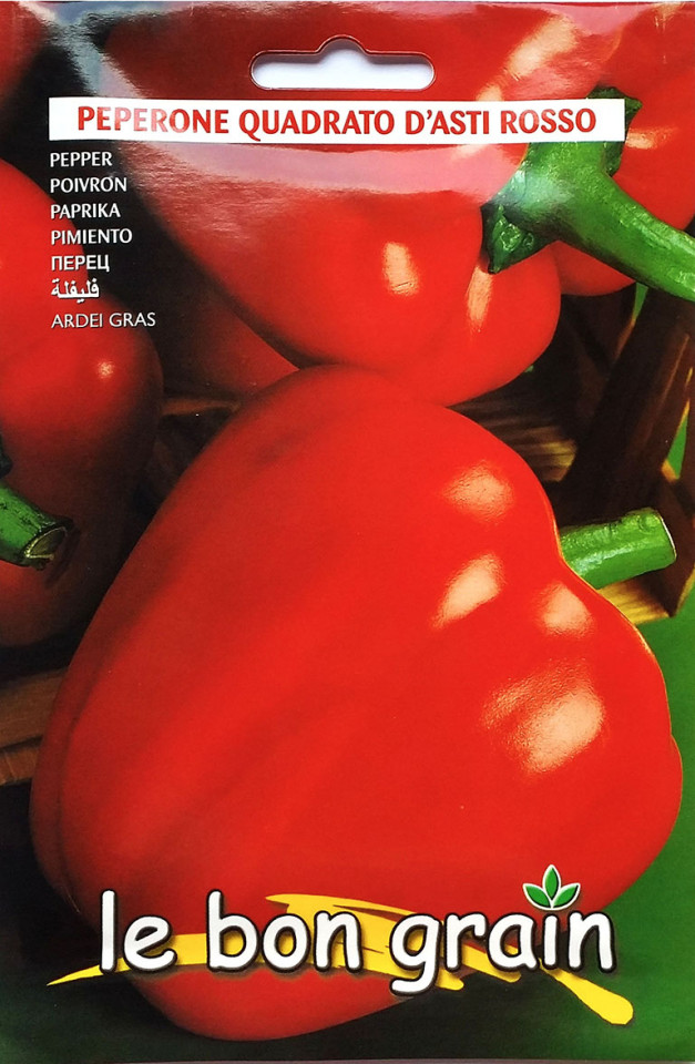 Ardei gras Quadrato d'Asti Rosso (100 g), seminte ardei gras Asti Rosu ...