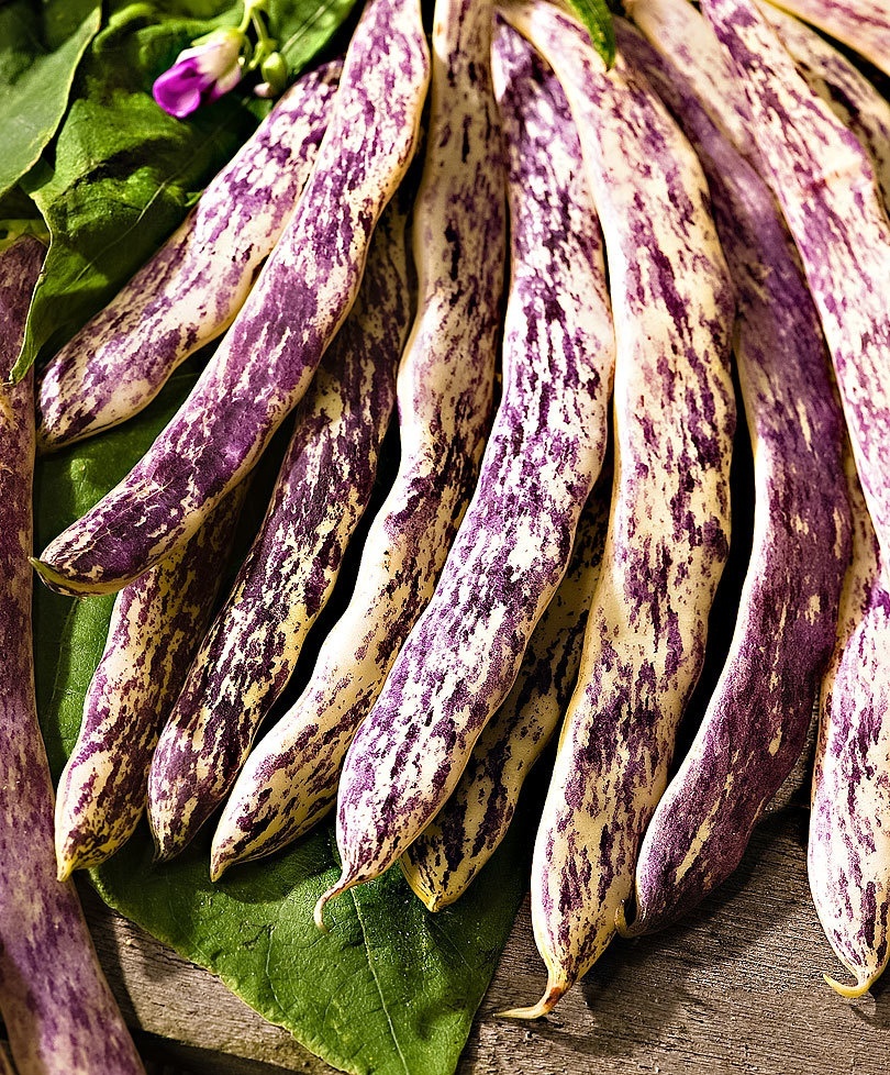 Fasole pitica Meraviglia del Piemonte (1 kg) seminte fasole oloaga ...