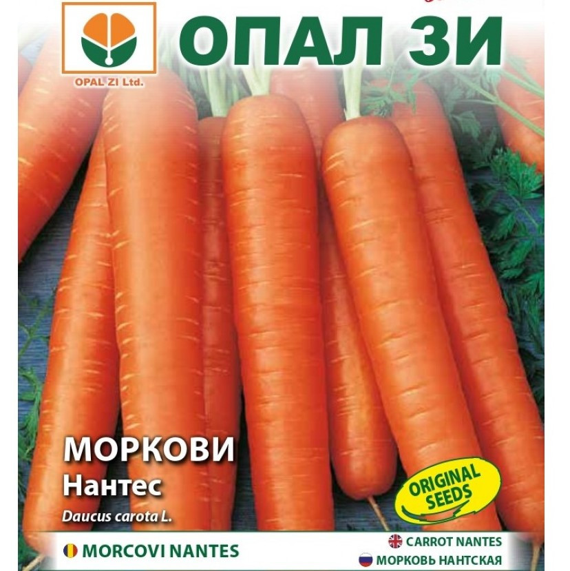 Morcovi Nantes 2 (5 g), seminte soi semitimpuriu viguros, radacini ...