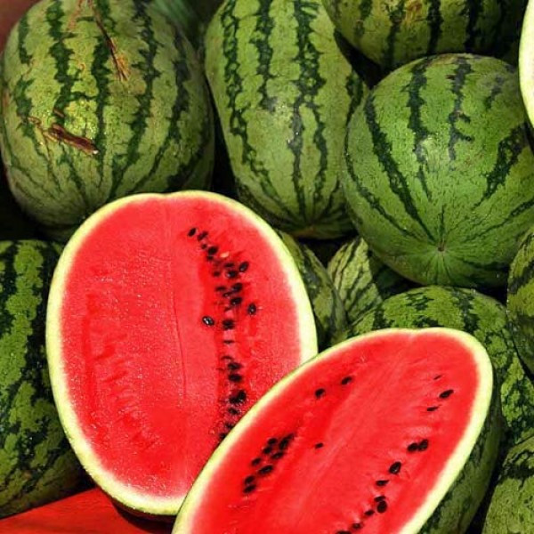 Pepene verde Jubilee (500 g), seminte soi pepene rosu miez foarte dulce ...