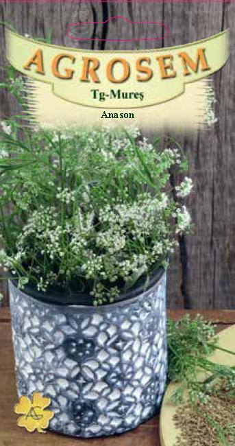 Anason (1 g), seminte planta aromatica Pimpinella anisum, parfum intens ...