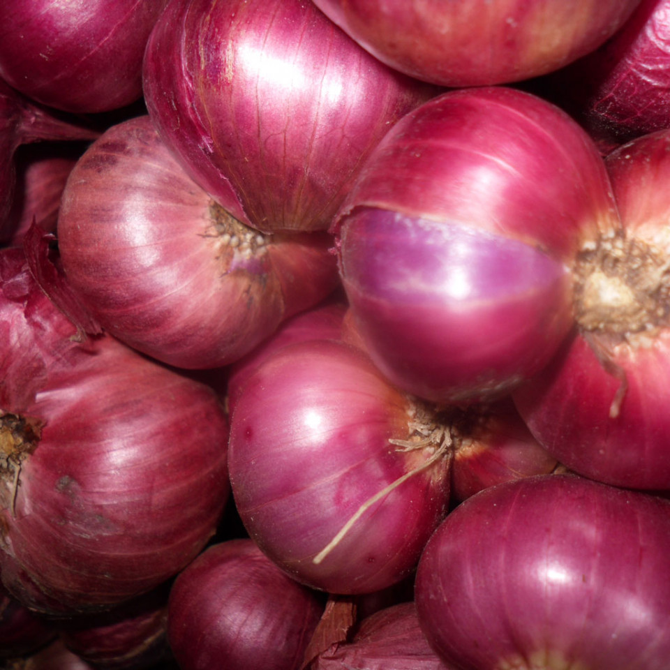 Ceapa Rossa di Bassano (100 g), seminte soi timpuriu ceapa rosie ...