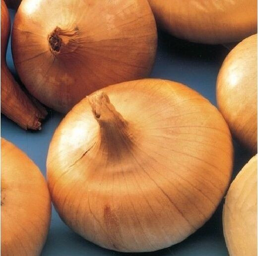 Ceapa Yellow Flat Duch (2 g), seminte soi semitimpuriu ceapa ...