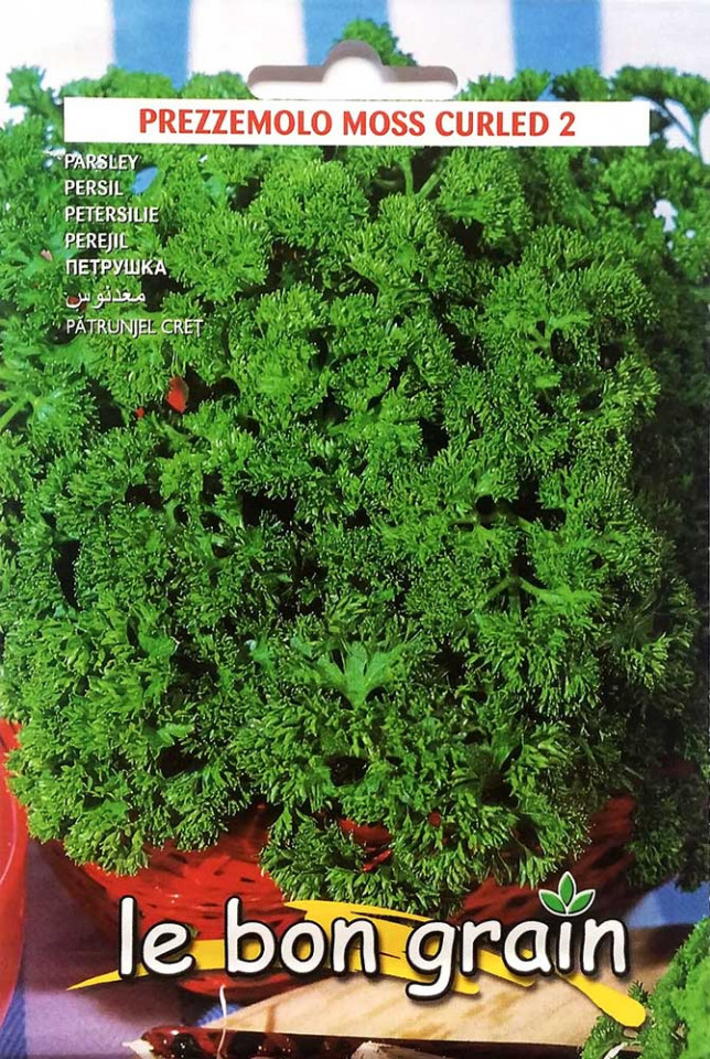 Patrunjel frunze crete Moss Curled (100 g), seminte planta aromatica ...