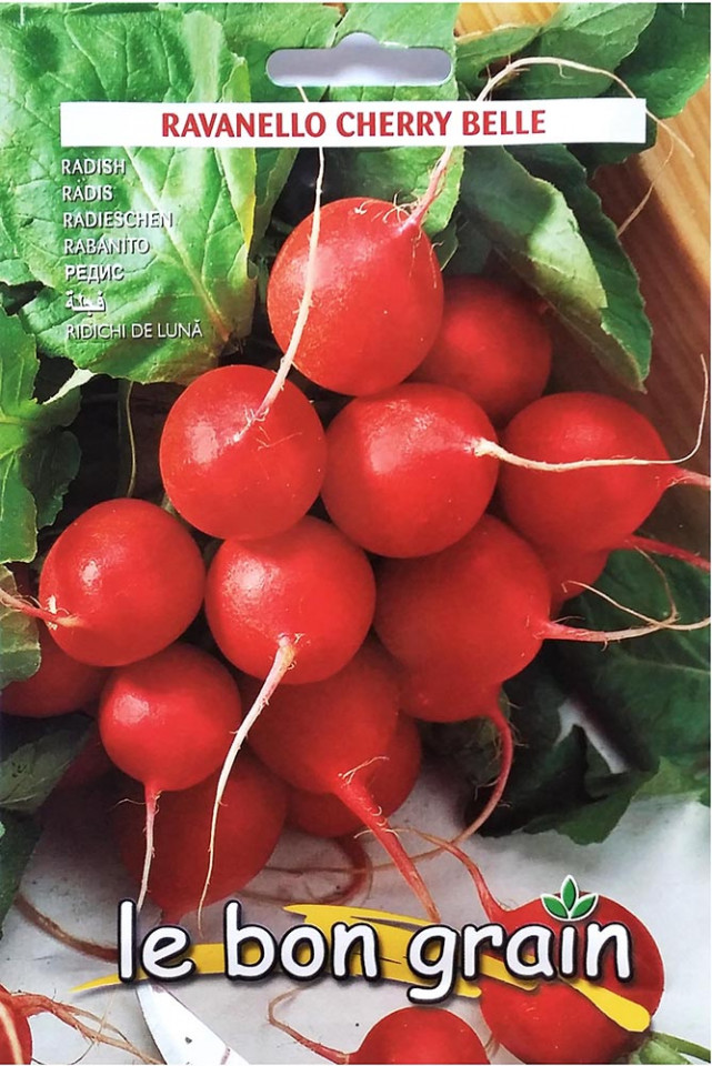 Ridichi de luna Cherry Belle (100 g), seminte soi timpuriu, ridichi ...