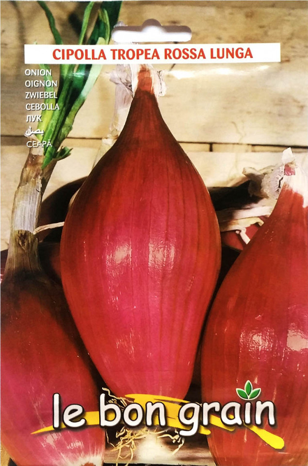 Ceapa Tropea Rossa Lunga (500 g), seminte soi timpuriu ceapa rosie ...