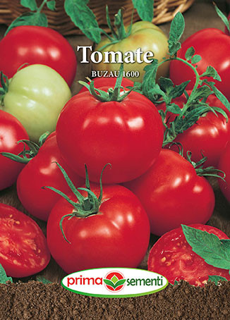 Rosii Buzau 1600 (0,25 g), seminte soi romanesc semitardiv nedeterminat ...