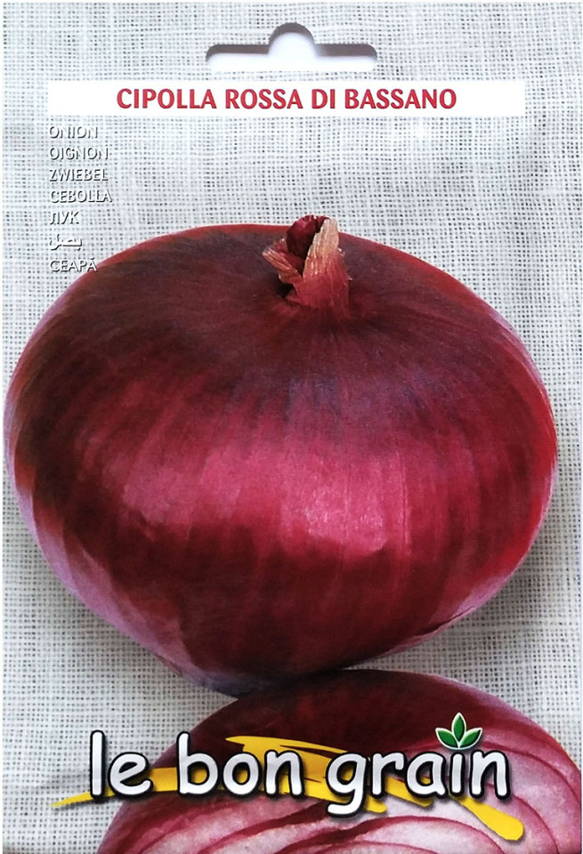Ceapa Rossa di Bassano (500 g), seminte soi timpuriu ceapa rosie ...