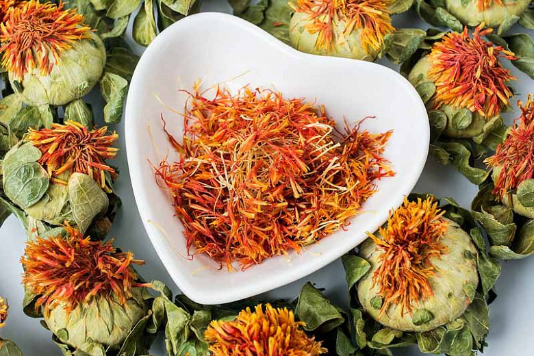 Sofranel (2 g), seminte planta medicinala si aromatica anuala Carthamus ...