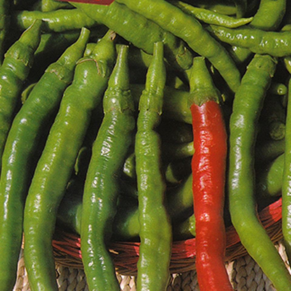 Ardei Sigaretta di Bergamo (100 g), seminte ardei iute soi semitimpuriu ...