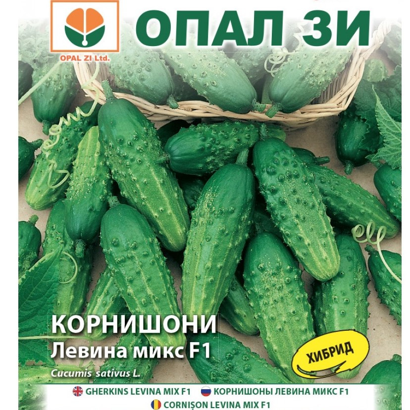 Castraveti Levina mix F1 (5 g), seminte hibrid semitimpuriu castraveti ...