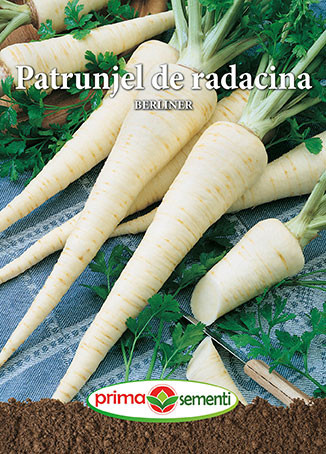 Patrunjel radacina Berliner (5 g), seminte soi semitardiv productiv ...