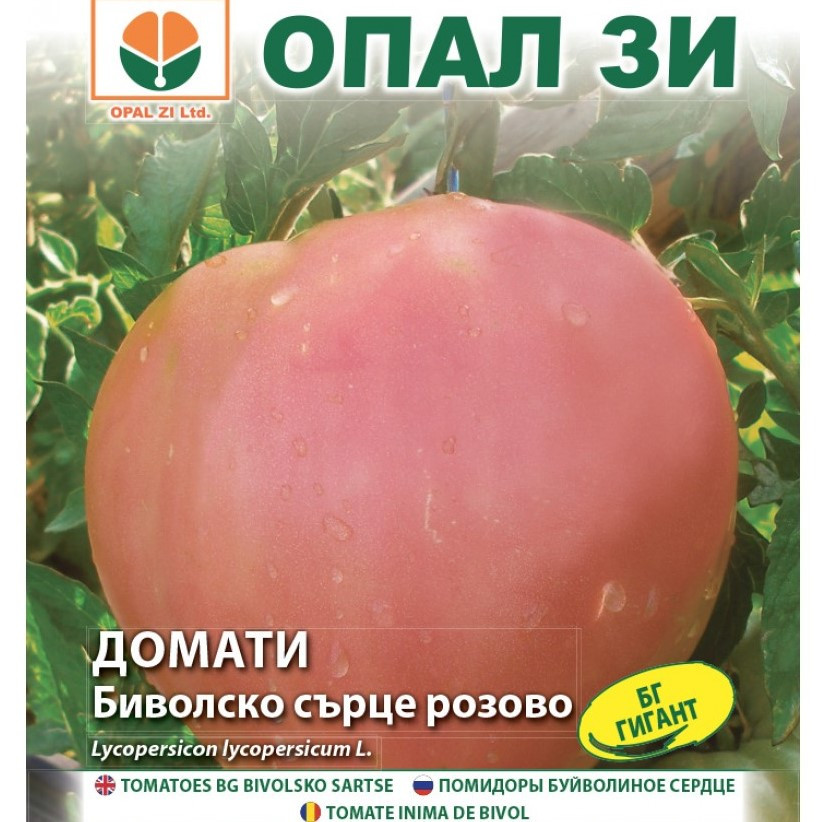 Rosii Inima de Bivol roz (1 g), seminte tomate pulpa roz, soi ...