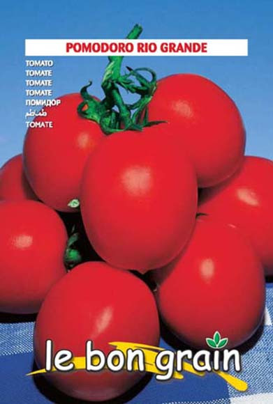 Rosii Rio Grande (500 g), seminte soi semitimpuriu determinat, tomate ...